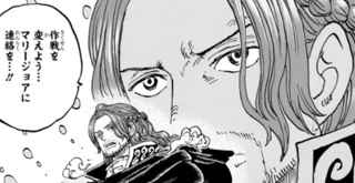 【画像】赤髪シャンクス、ガチで双子だったwwwwwwww - 漫画まとめ速報